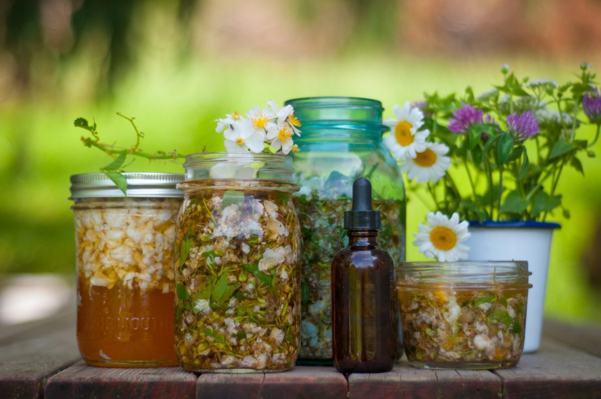 Four recipes for homemade rose remedies - rachel wolf | clean